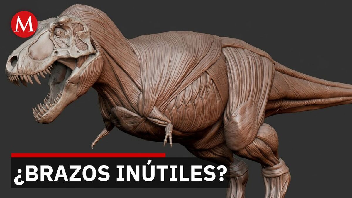 El T-Rex no era defectuoso: científicos revelan el verdadero propósito ...