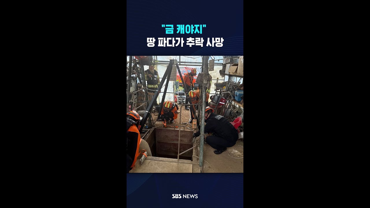 금 캐려다 추락. 목숨 잃었다 #shorts
