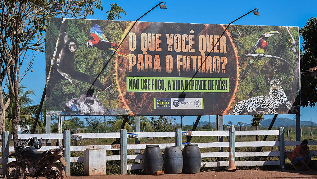 Brazil commits $617.5M to Amazon eco investment drive