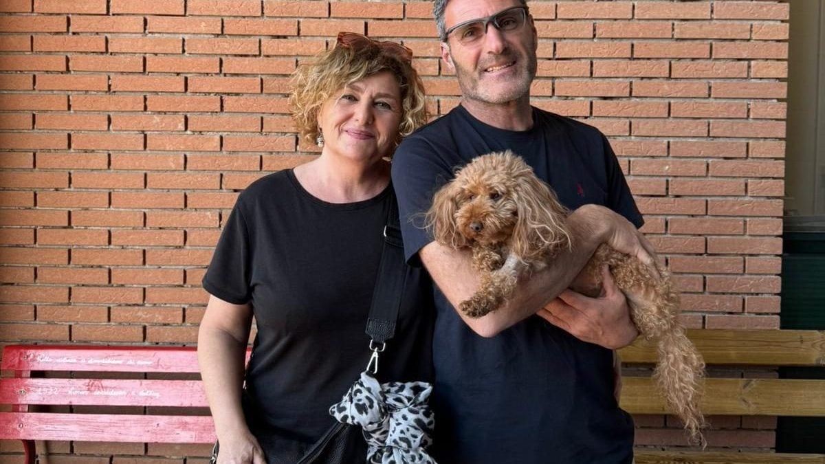 Il barboncino Buddy è il primo cane di piccola taglia con pacemaker ...