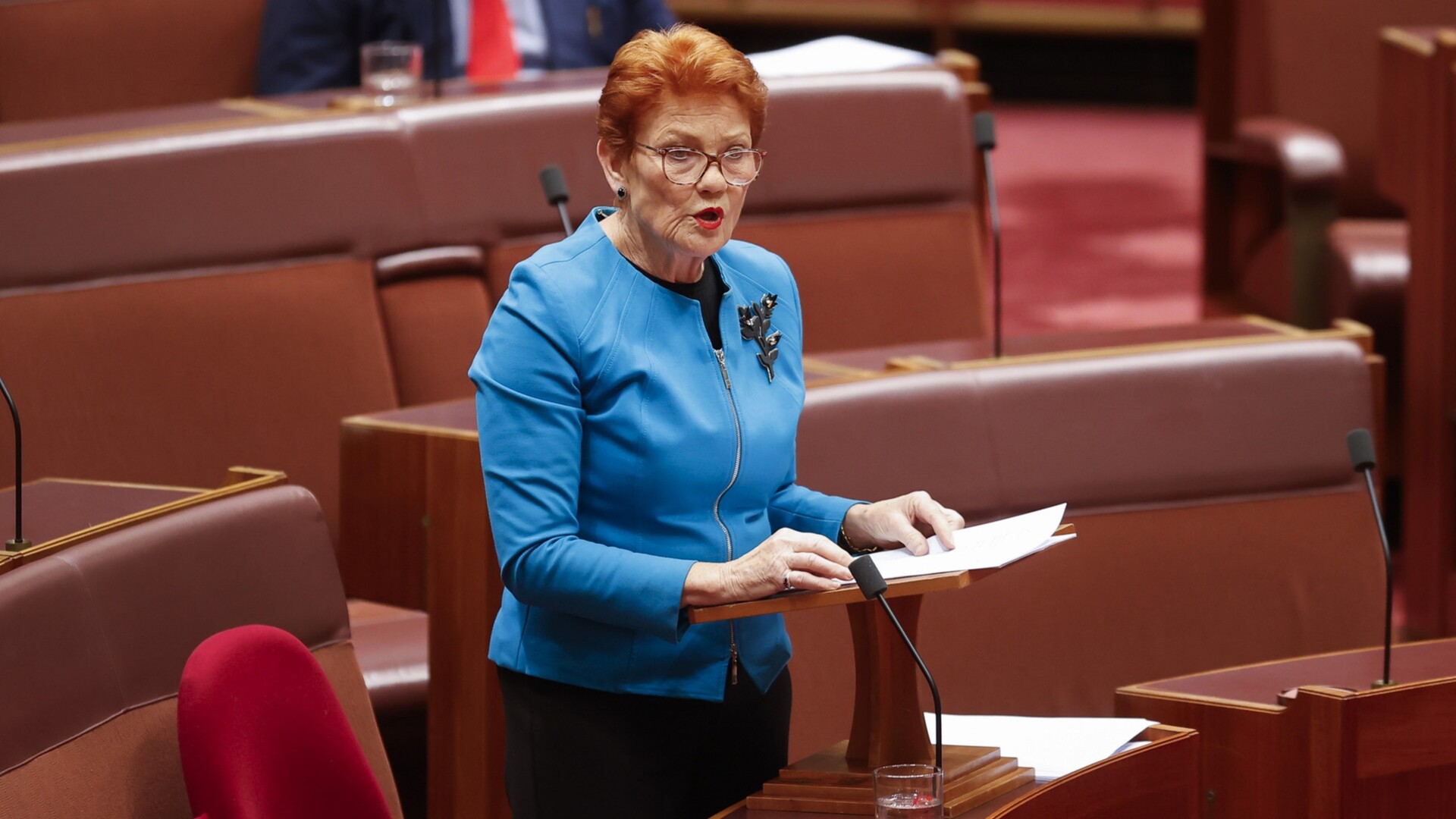‘Completely oppose the changes’: Hanson launches attack against Labor’s ...