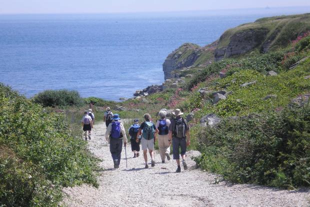 Next Wessex Wanderer walk to take place next week