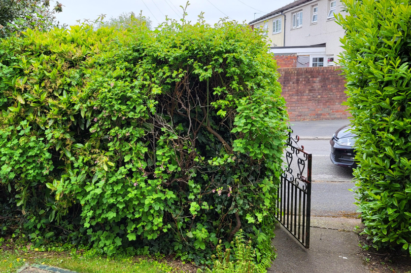Our neighbours paved over their garden for cars and now demand we cut ...