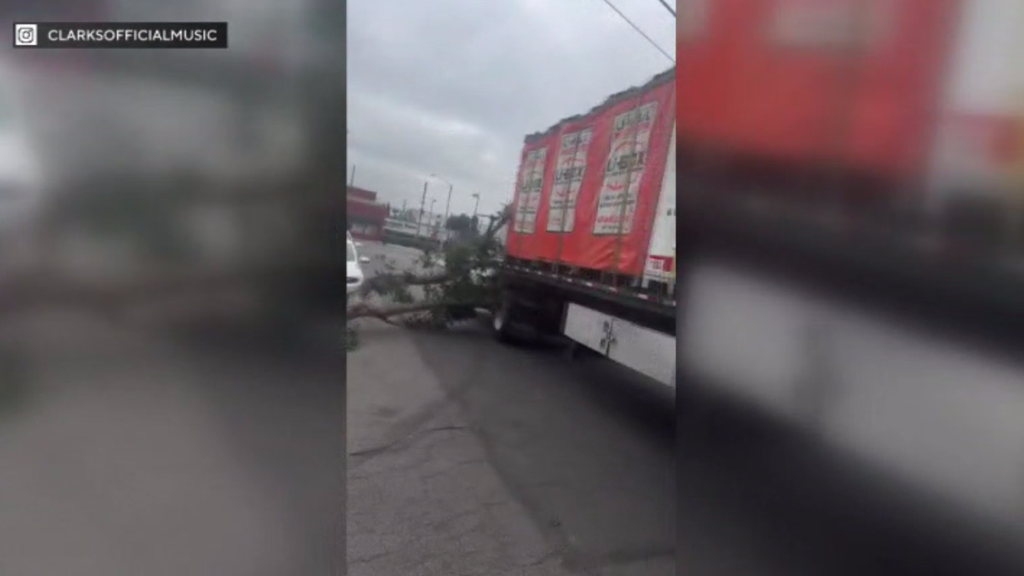 Truck carrying U-Haul boxes in North Hollywood snaps large branch off ...