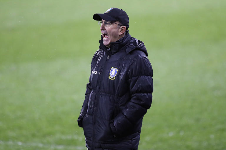 Tony Pulis hails 'great' and 'special' Sheffield Wednesday - states ...