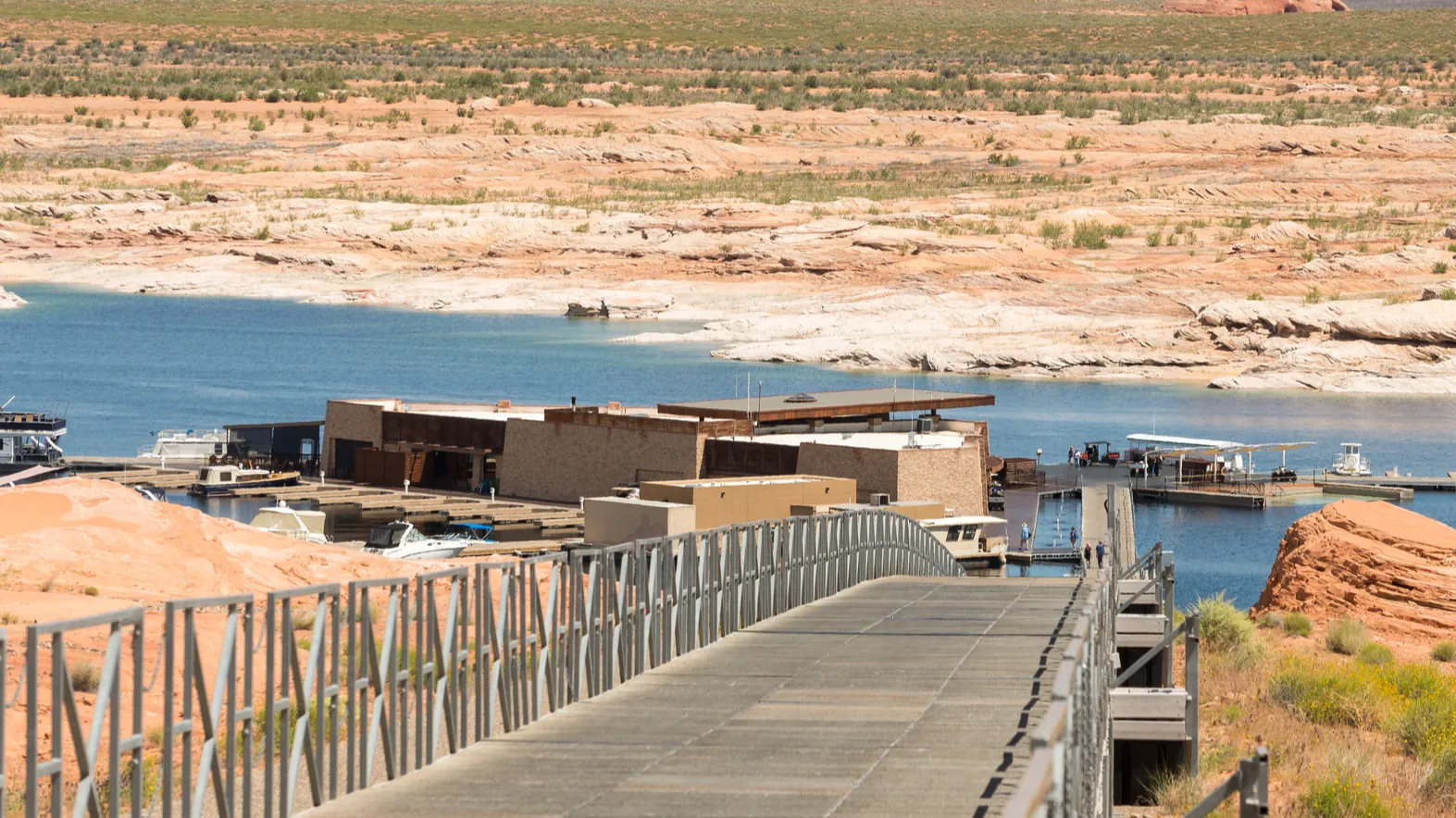 Wildlife experts are turning a once-empty Colorado reservoir into a ...