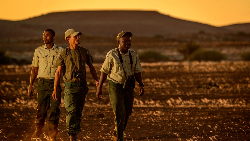 AI and genomic tools reshape global elephant conservation