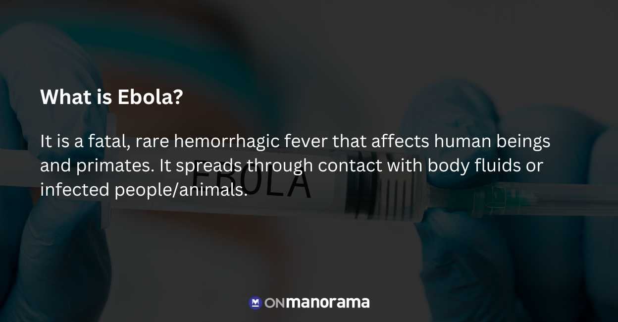 European Union joins US, Canada, India to tighten travel rules as Ebola ...