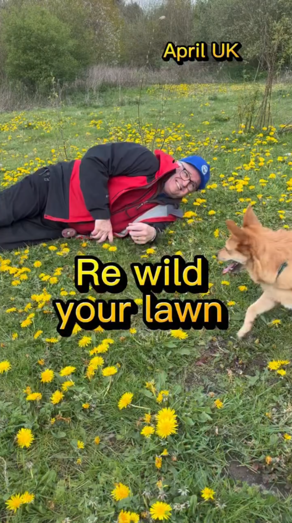 Re wild your lawn