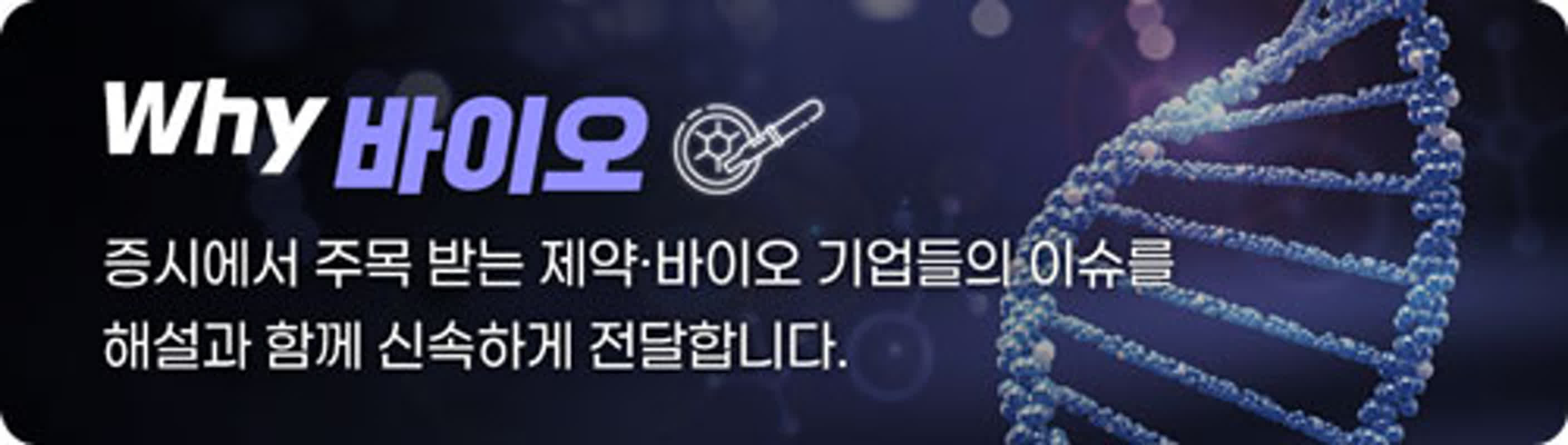 디앤디파마텍, MASH 신약 임상 2상 결과 공개에 '상한가' [Why 바이오]