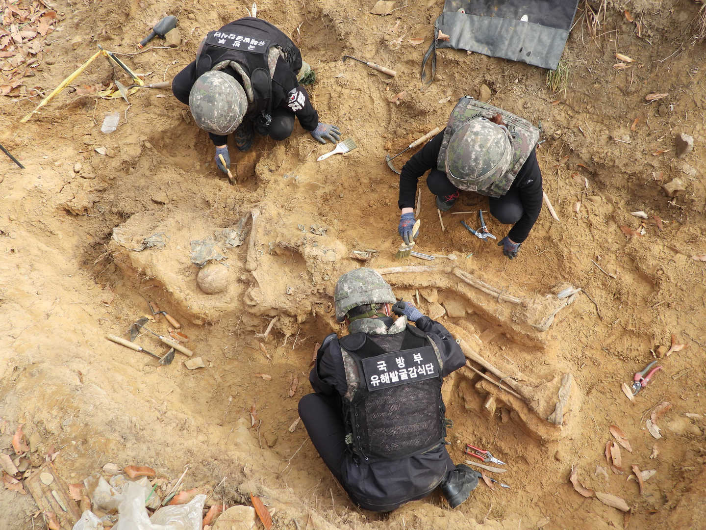 Korea, US begin joint analysis of Korean War remains