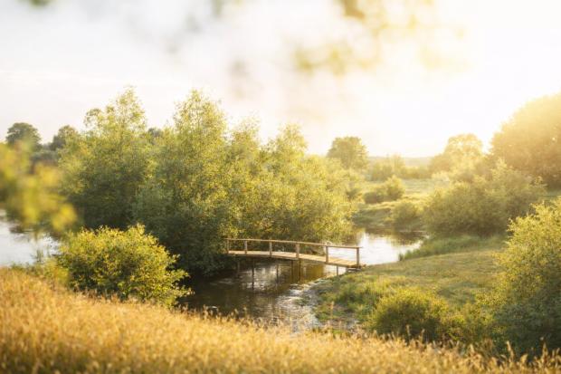 Nature reserve offers a few dates for small nature-sensitive ceremonies