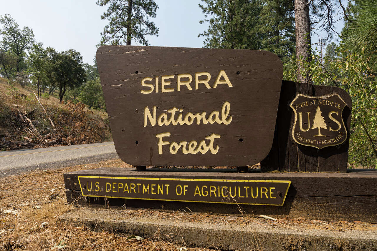 Heading to the Sierra? Leaving food unsecured could cost you $5,000