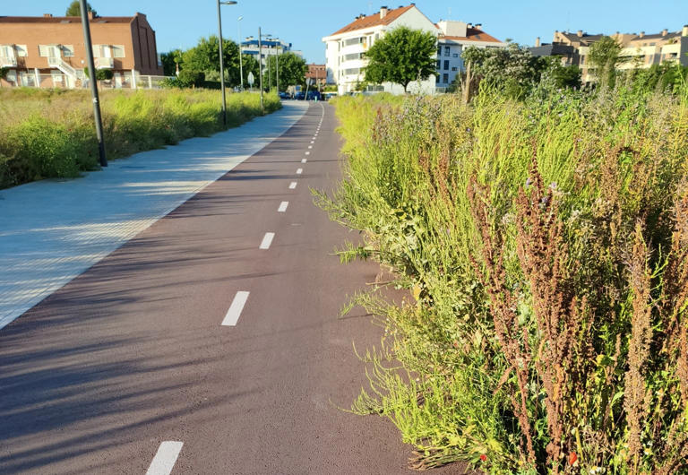 Un carril en Lardero «para bicis y hierbas»