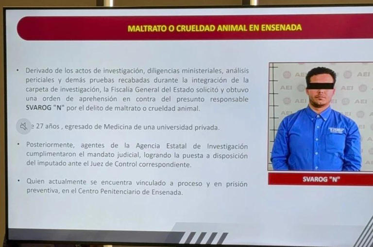 FGE investiga casos de maltrato animal en Tijuana y Ensenada