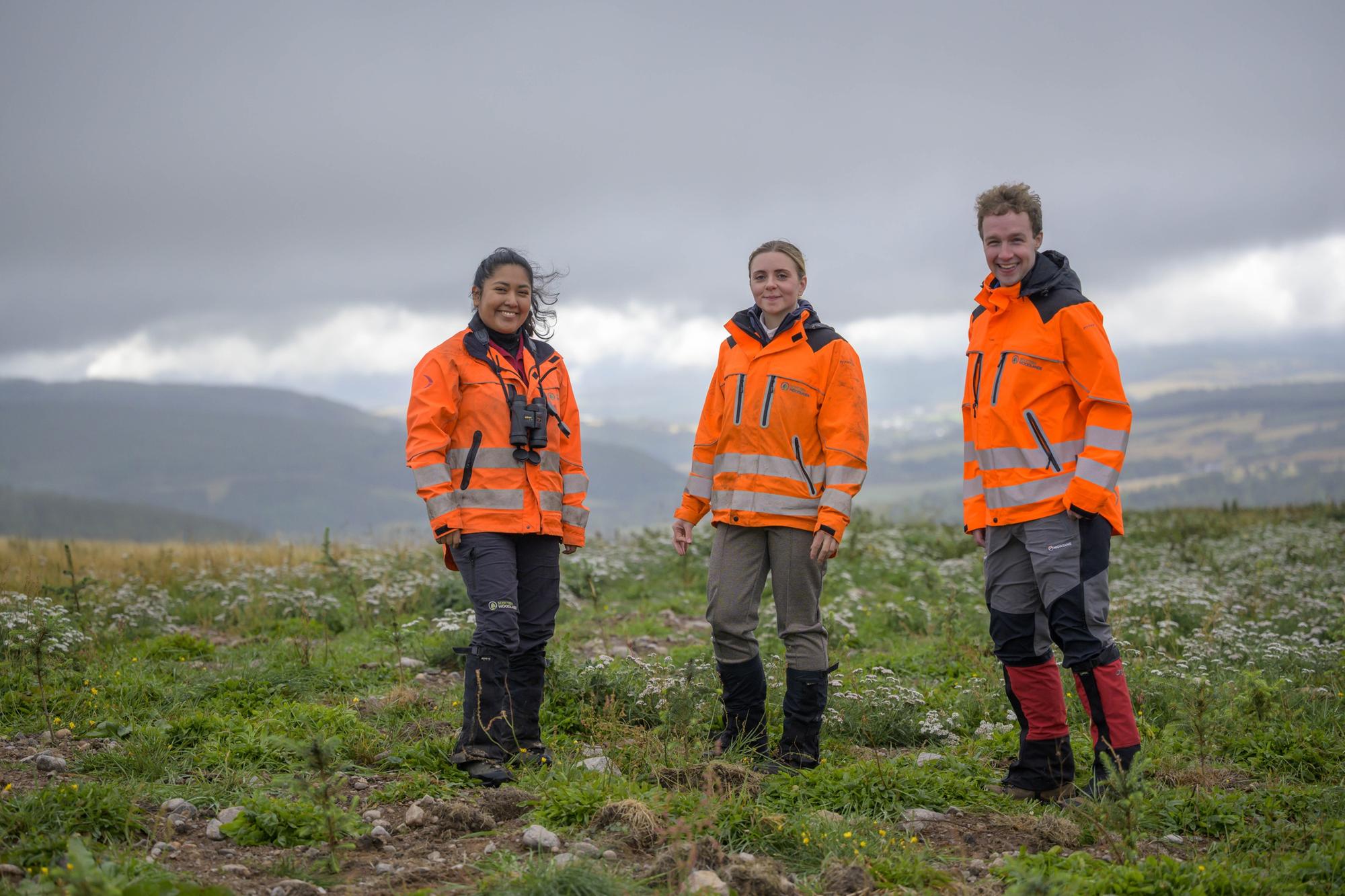 Scottish Woodlands: Key takeover boosts UK’s largest forest management ...