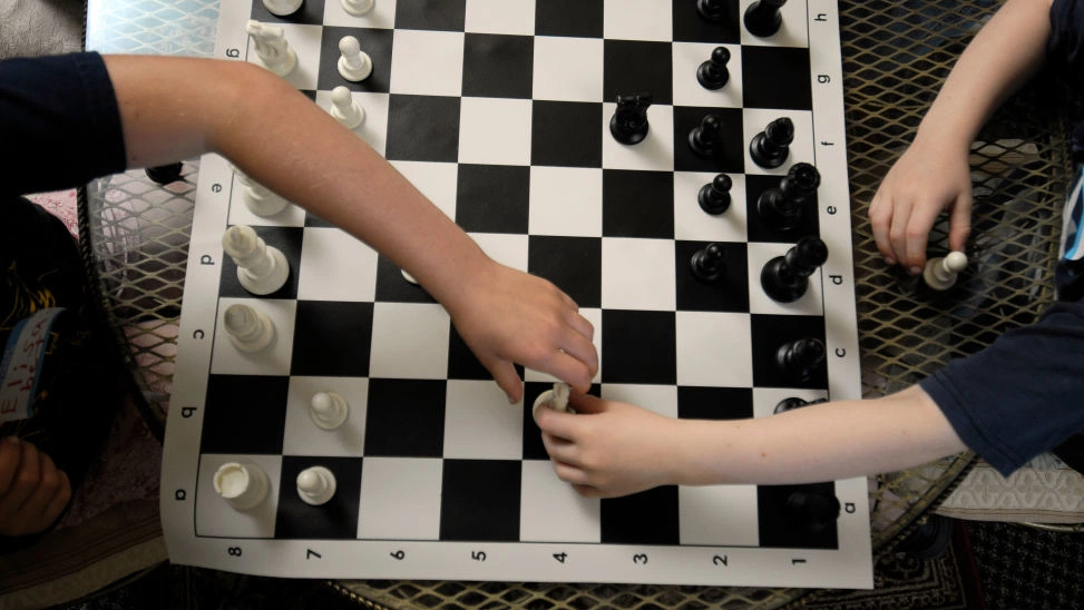 Study finds novice chess players rely on pattern memory over calculations