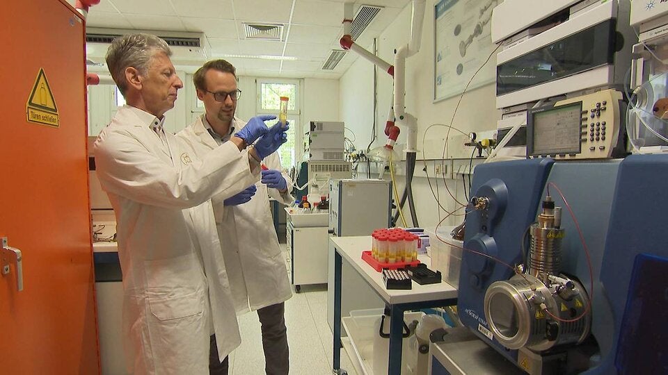Schock-Fund: Gift-Pilz auf Österreichs Maisfeldern entdeckt
