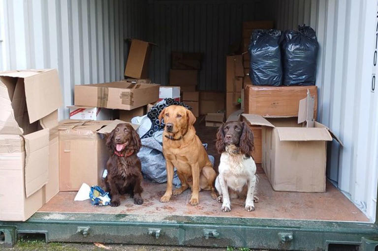 Almost 2 million illegal cigarettes seized amid trading standards crackdown