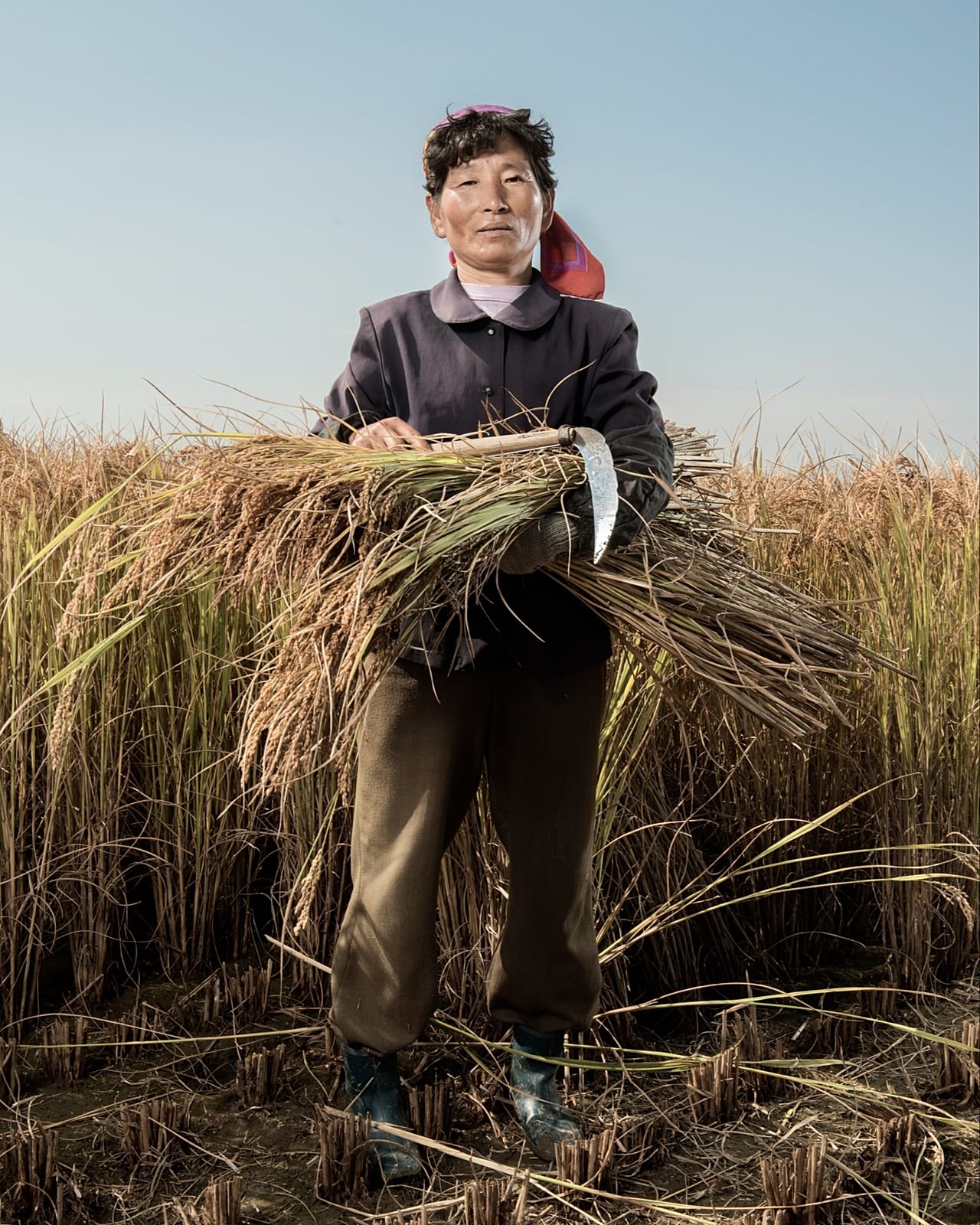 Hidden figures: Stephan Gladieu on photographing the people of North Korea