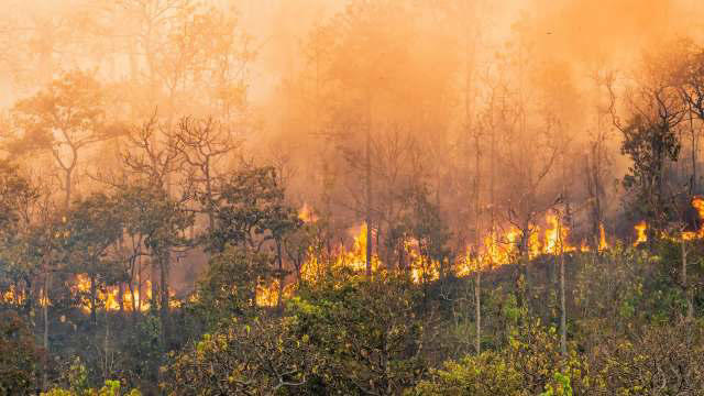 Largest wildfire ever recorded on Channel Islands burns a third of ...