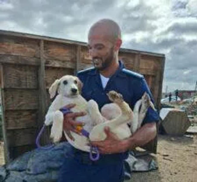 SPCA saves 24 dogs from neglect in Dunoon and aids a child in distress