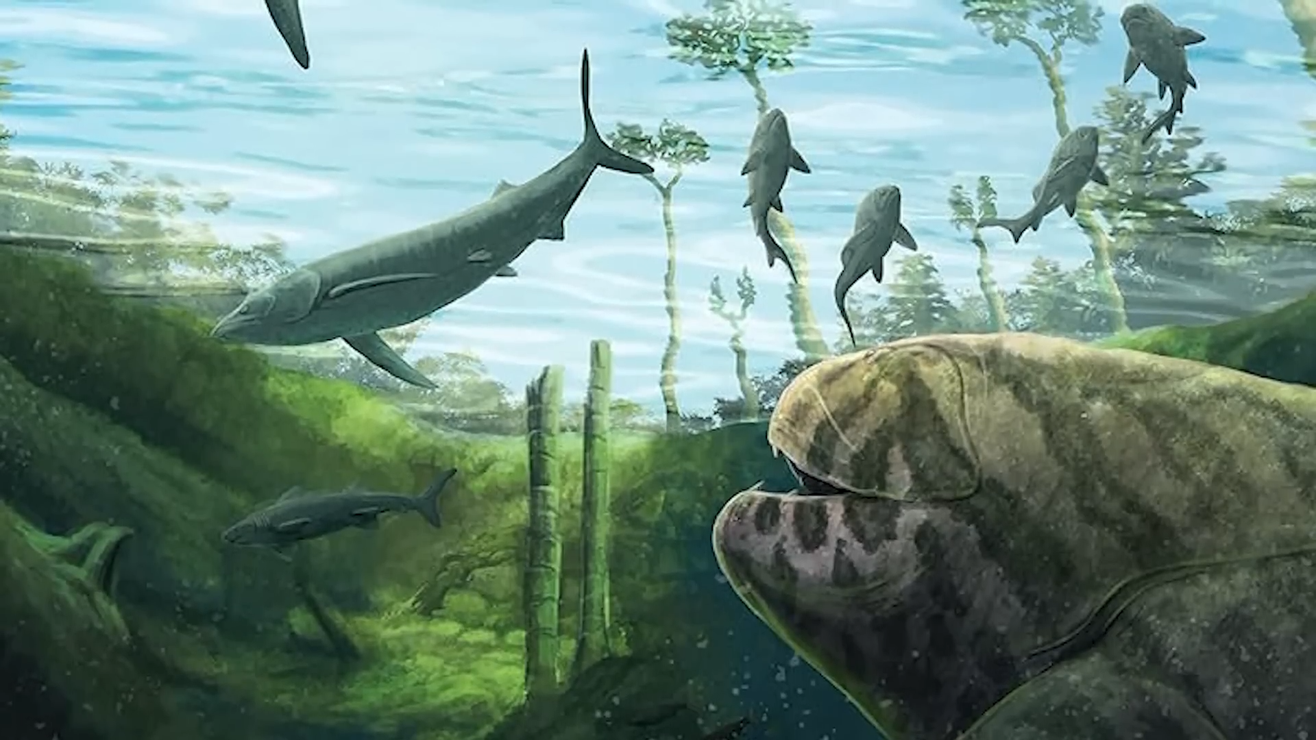 Watch a dunkleosteus devour prey in less than 1/20th of a second