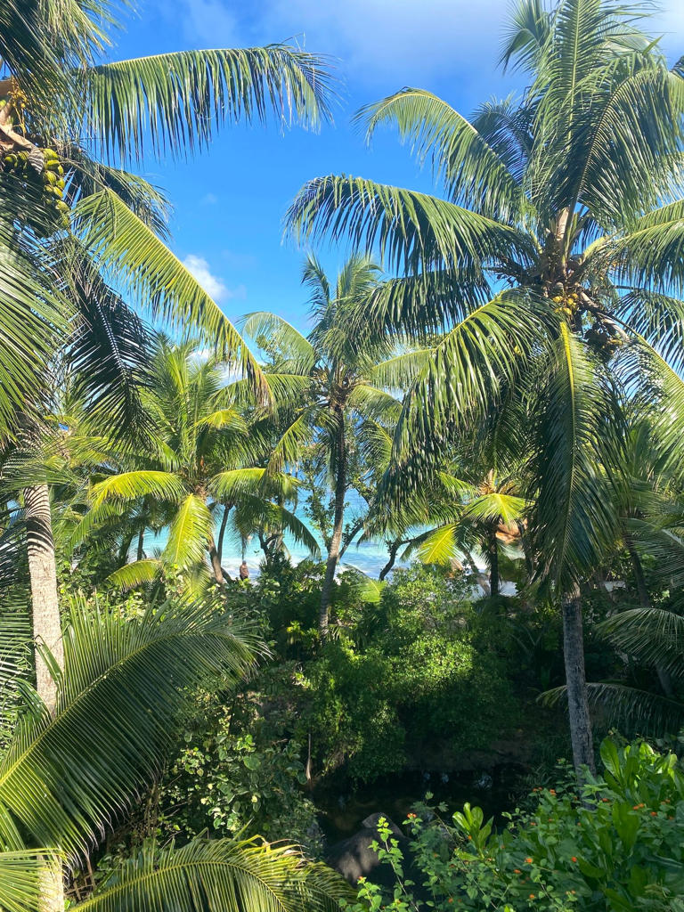 Islas Seychelles por primera vez