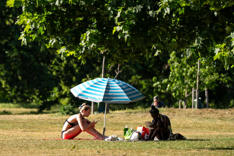 Highest daily minimum temperature broken for third night in a row