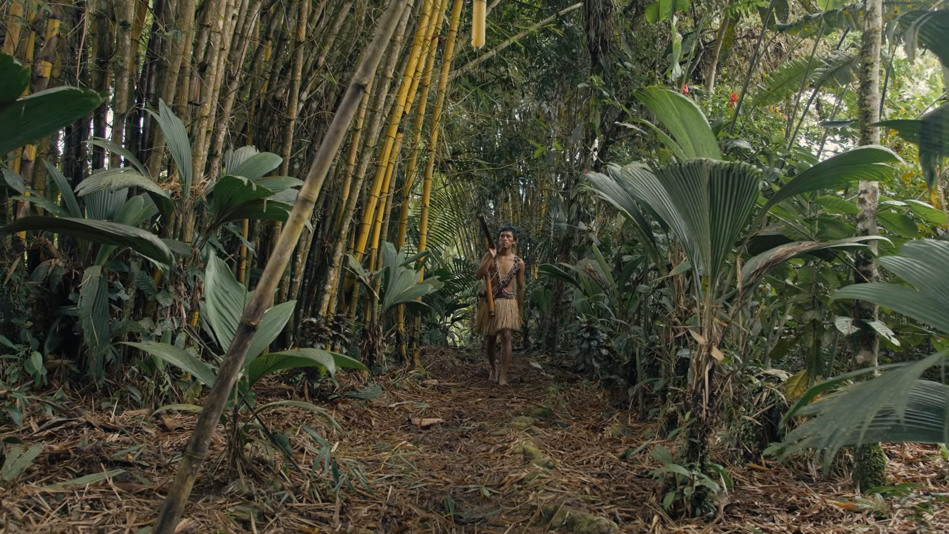 Lasers stripped away the Amazon canopy - and exposed a 30,000-person secret