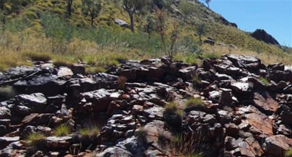 Exploration activies revert as Novo Resources loses Northern Star as ...