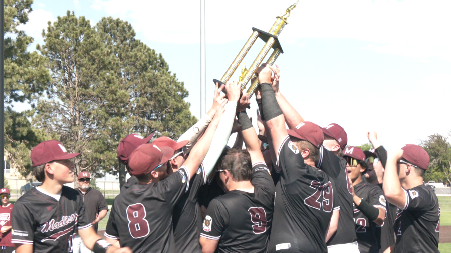 Madison wins Class B baseball state title