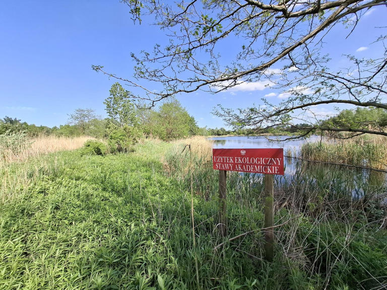 Park Akademicki może być drugim Myślęcinkiem? To, co tam zobaczyłem ...