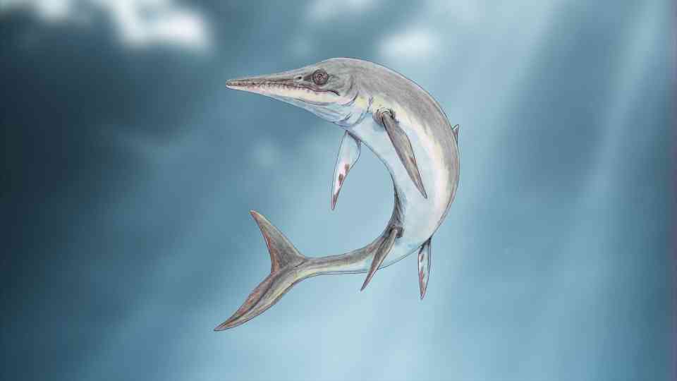 The Triassic seas were full of monsters – the predators we forgot
