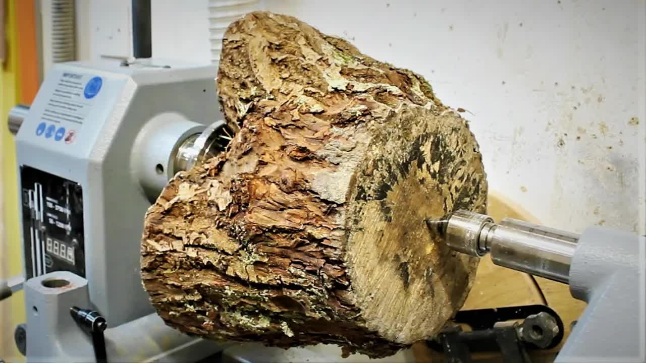 Watch how this willow log turns into a proper weeping beauty