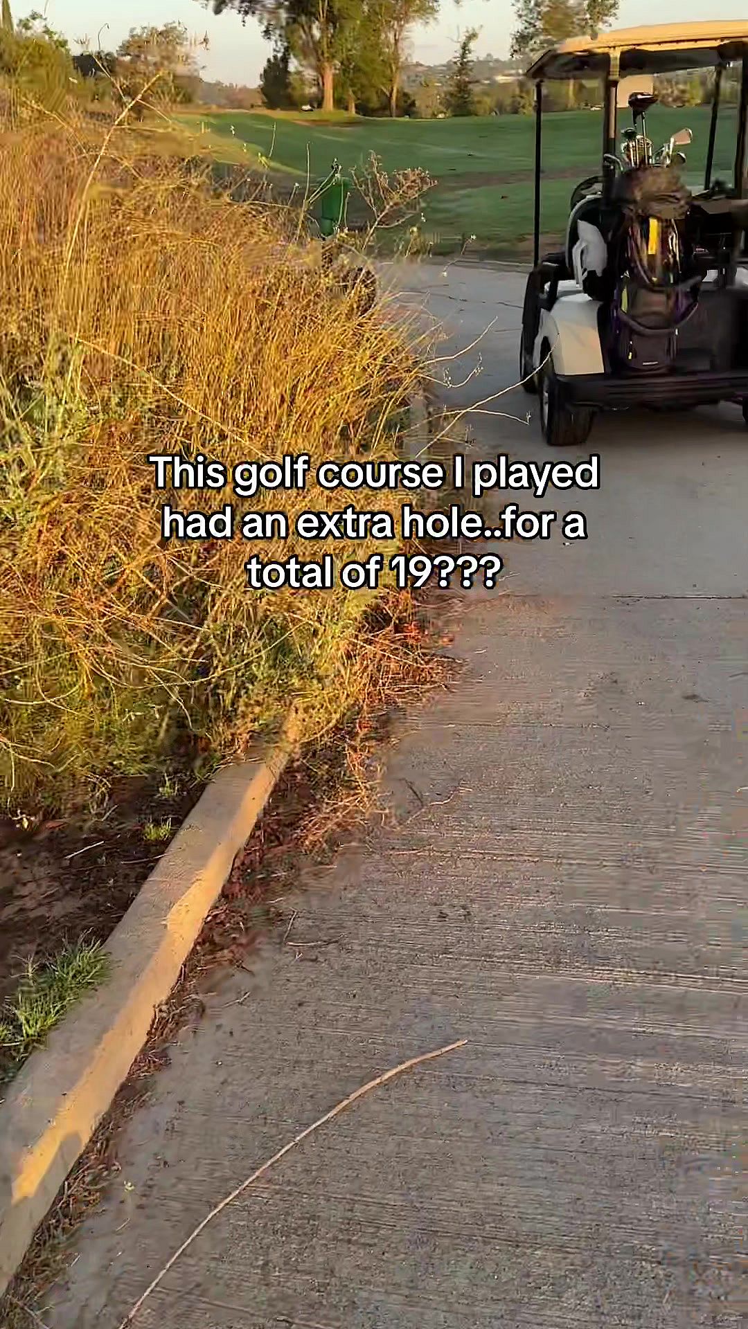 This golf course has a random extra hole