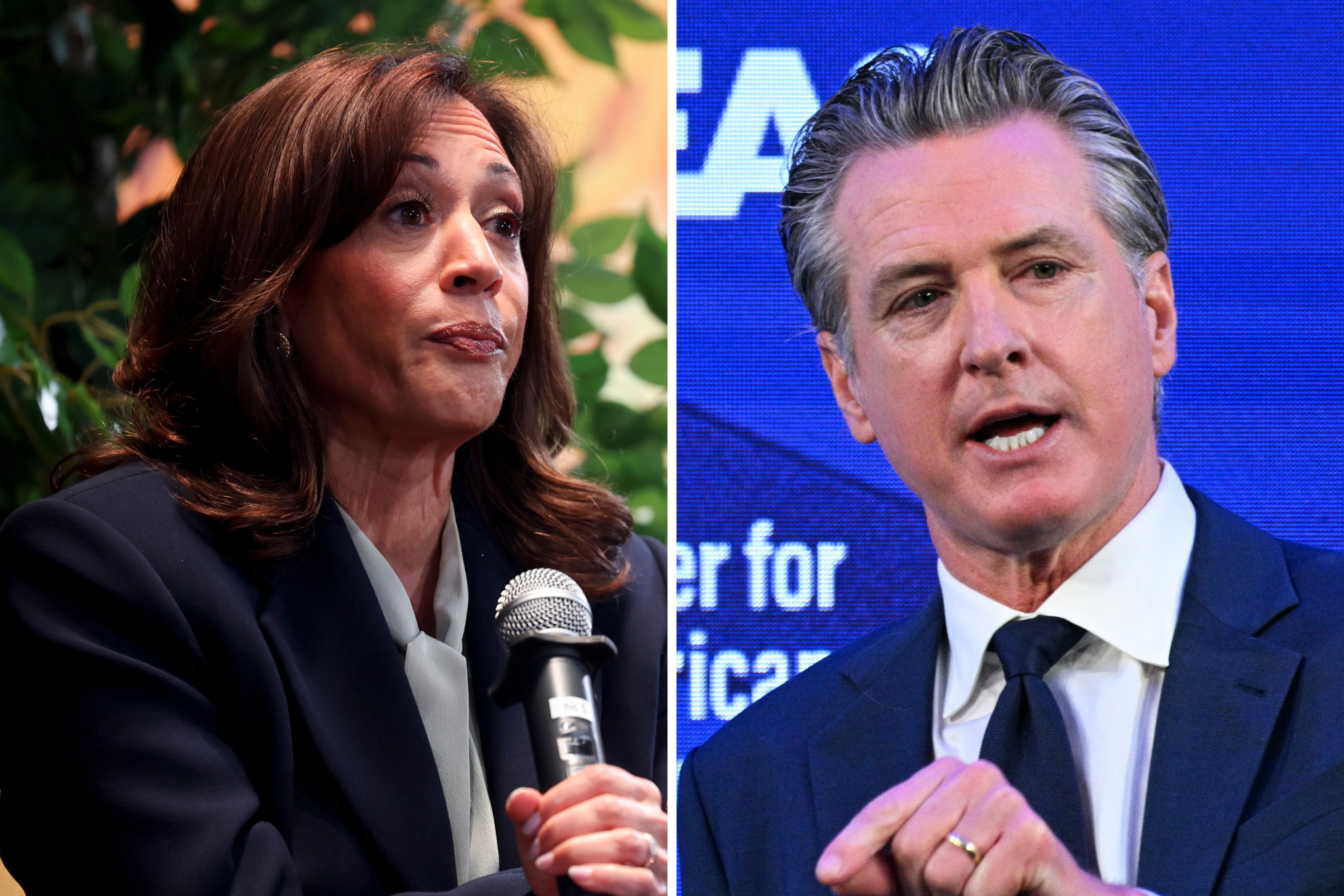 Harris vs. Newsom 2028 presidential election chances: New poll