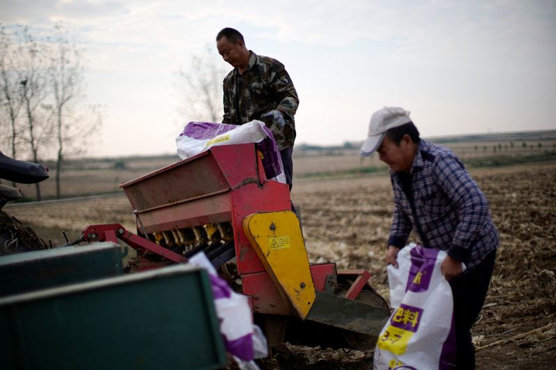 China allows fresh urea exports amid Iran war-fuelled fertiliser crisis ...