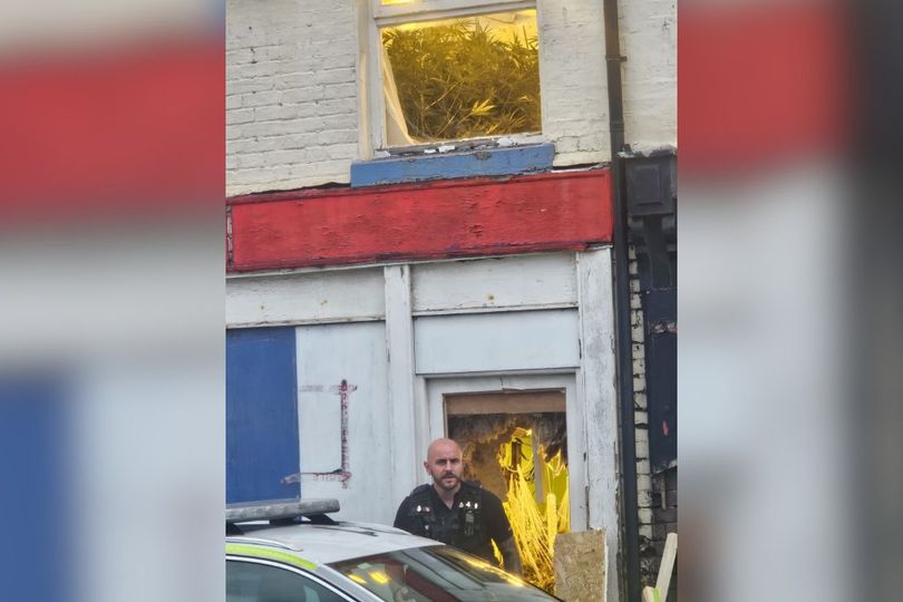 330 cannabis plants found in latest Stoke-on-Trent bust