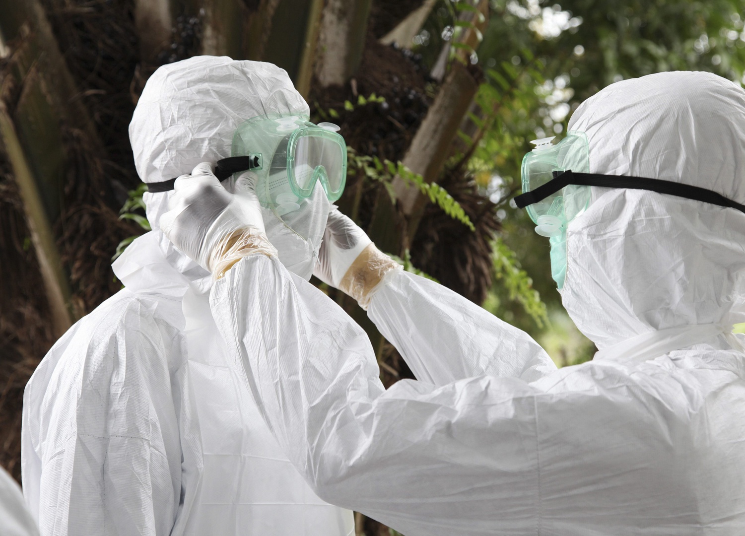 Ébola, claves de una crisis sanitaria que aún puede estar en "la punta ...
