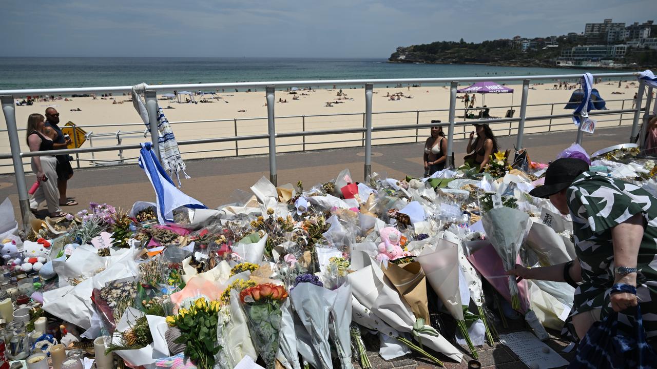 Risky gaps in guns registry noted years before Bondi