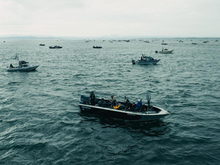 Battling salmon at Buoy 10 on the Columbia River