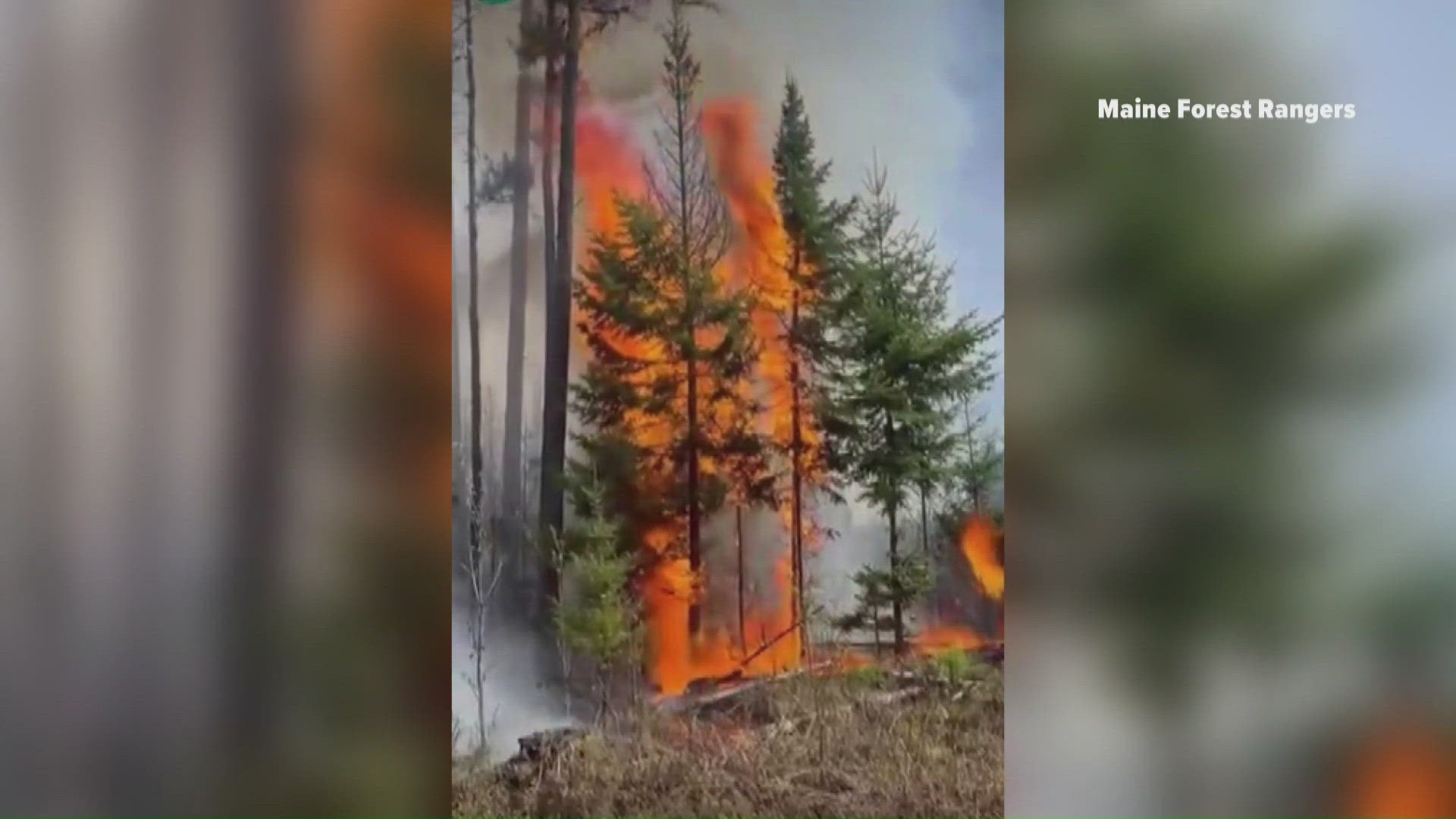 Maine Forest Rangers contain wildfire in Piscataquis County