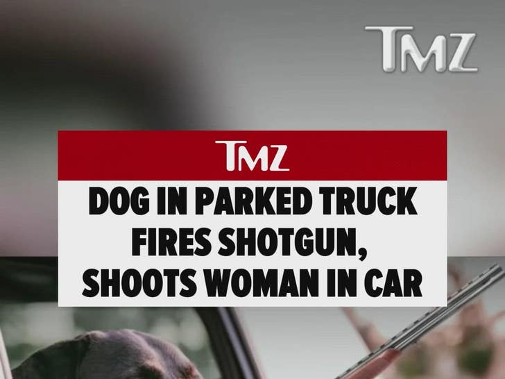 Dog accidentally fires shotgun, woman hit in Nebraska