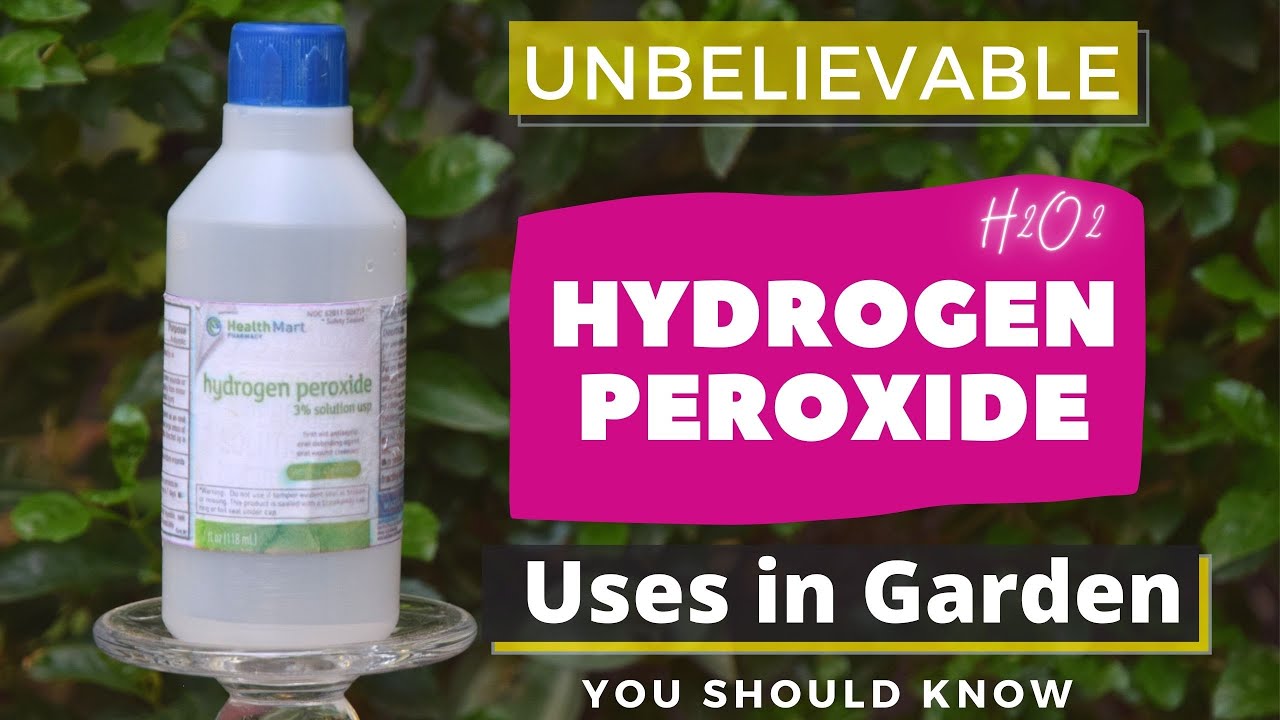 Powerful hydrogen peroxide uses every gardener should know