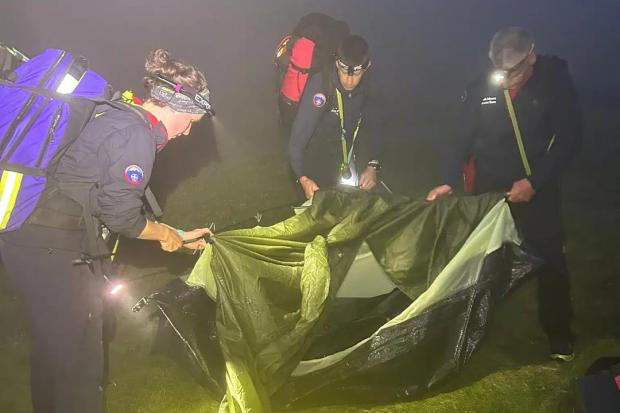Hyperthermia and diarrhoea, reasons for Bank Holiday spike in rescue ...