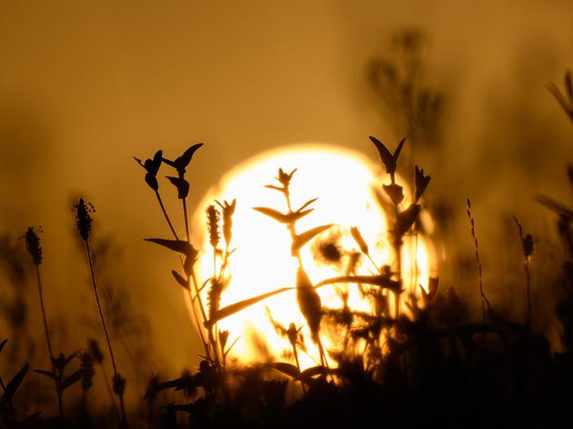 Hochsommer-Vorgeschmack in NRW – doch das Wochenende hat andere Pläne