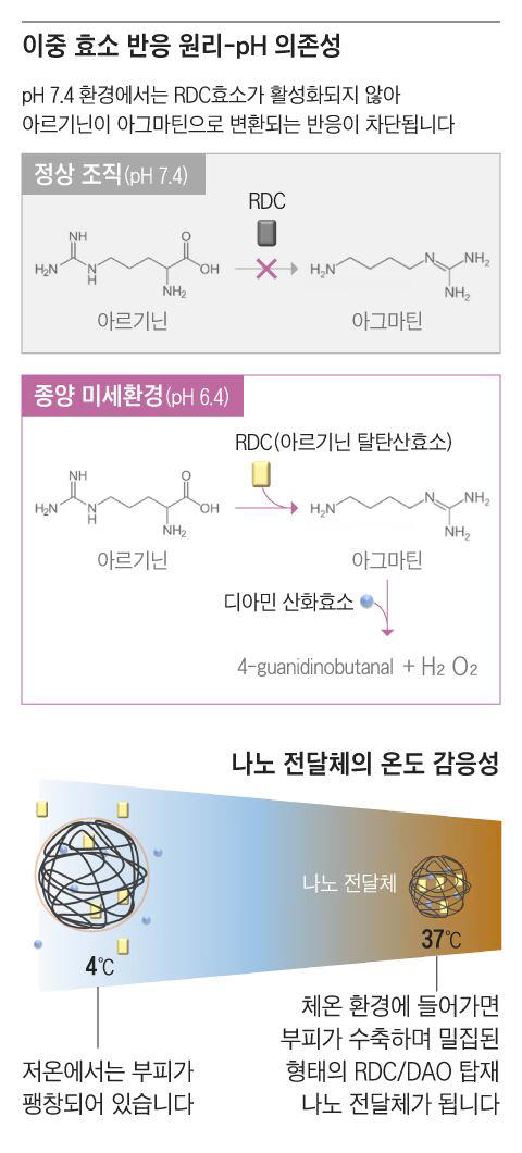 GIST's dual-enzyme system starves, kills cancer