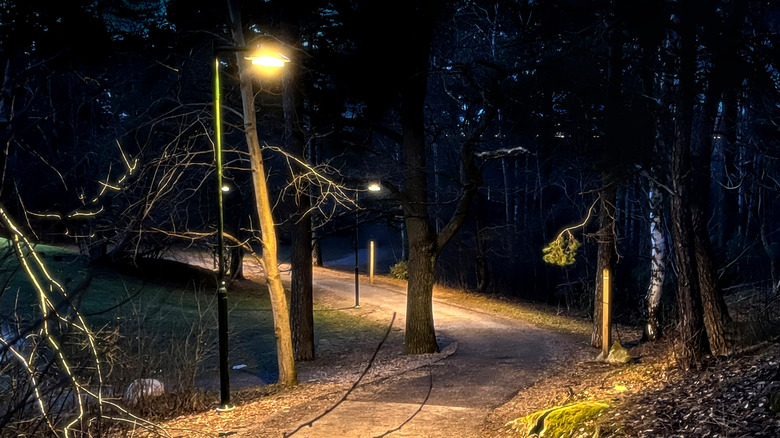 Stockholm's dual-color streetlights do a lot more than improve visibility