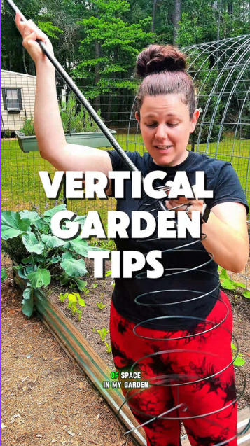 How to grow plants on a trellis